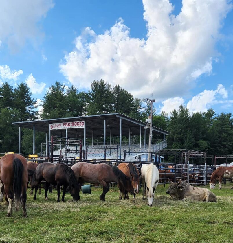 Summer fun: Bass Fest, UP Rodeo, Norway picnic, Antoine concert this ...